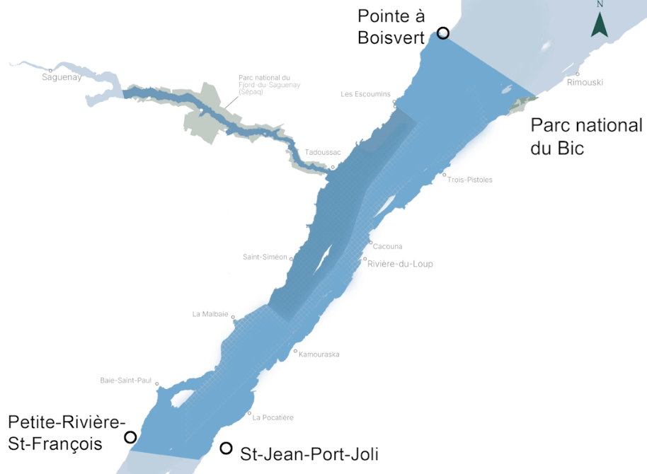 Un parc marin du Saguenay-St-Laurent 3,6 fois plus grand - TVCO